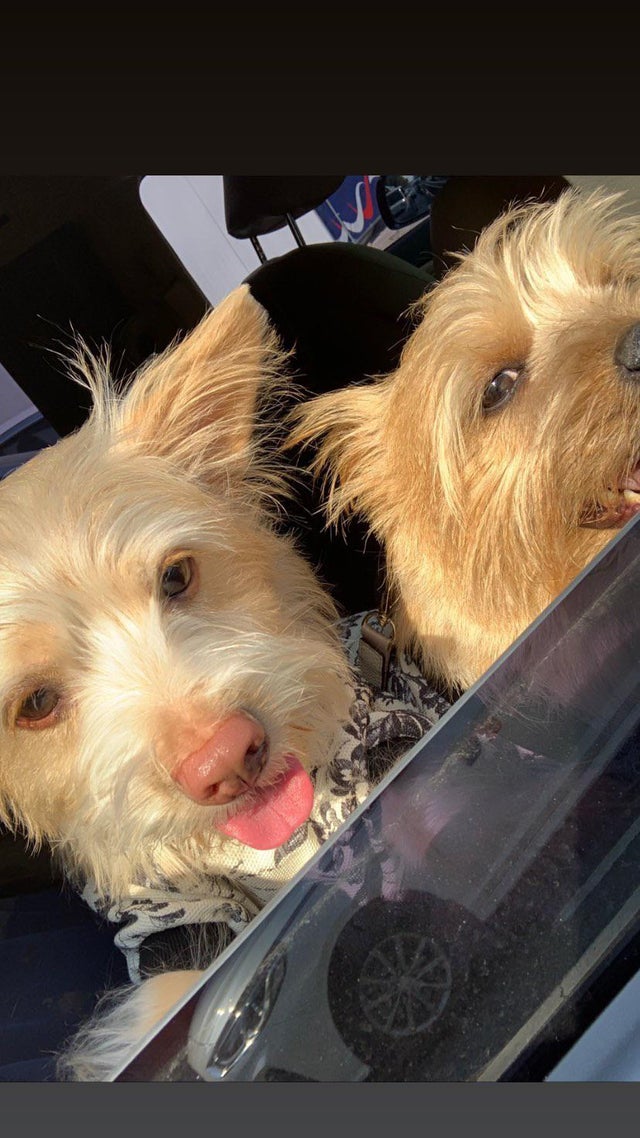 221022 Momo Instagram Stories Update - Dobby and Boo - PTKOREA