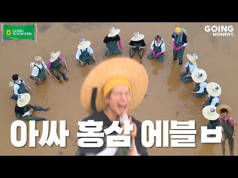 [GOING MOMENT] Seventeen is quite serious about the red ginseng game👨‍🌾 ...