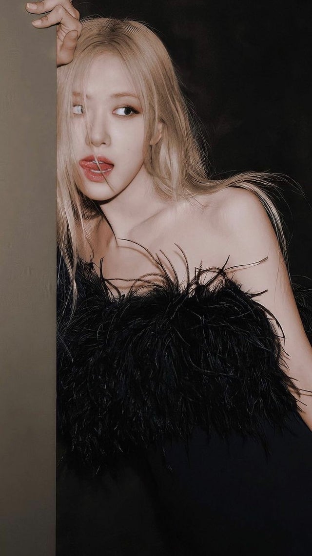 Rose daily 3 - PTKOREA