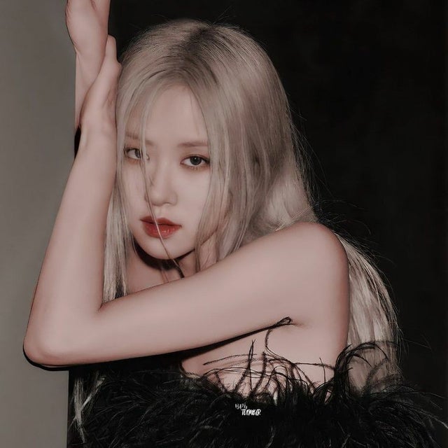 Rose daily 3 - PTKOREA