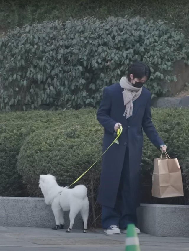 230425 Dingo Twitter Update with The8 - PTKOREA