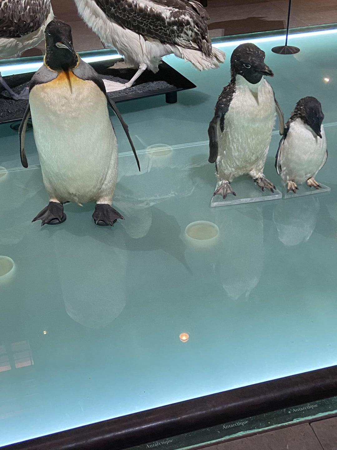 Met Mina in Paris - PTKOREA