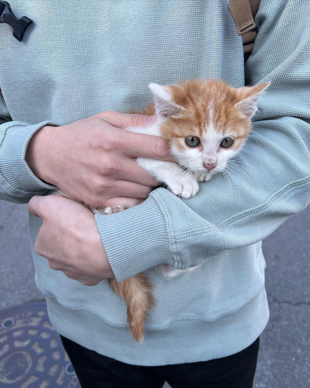 230821 Suho Instagram Update - "Hello, this is Cat Papa Sunwoo 🐱" - PTKOREA