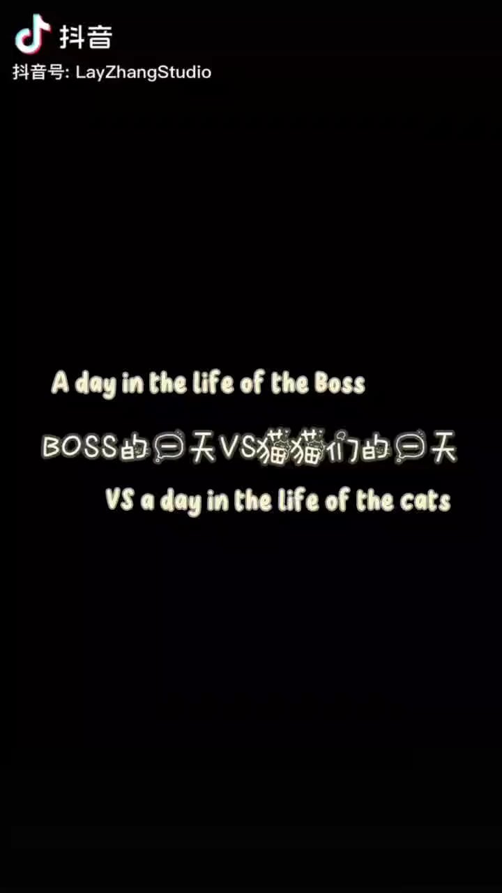 230925 LAY Studio Douyin Update | The Boss' day and his cats 🐈🐈🐈🐈 - PTKOREA