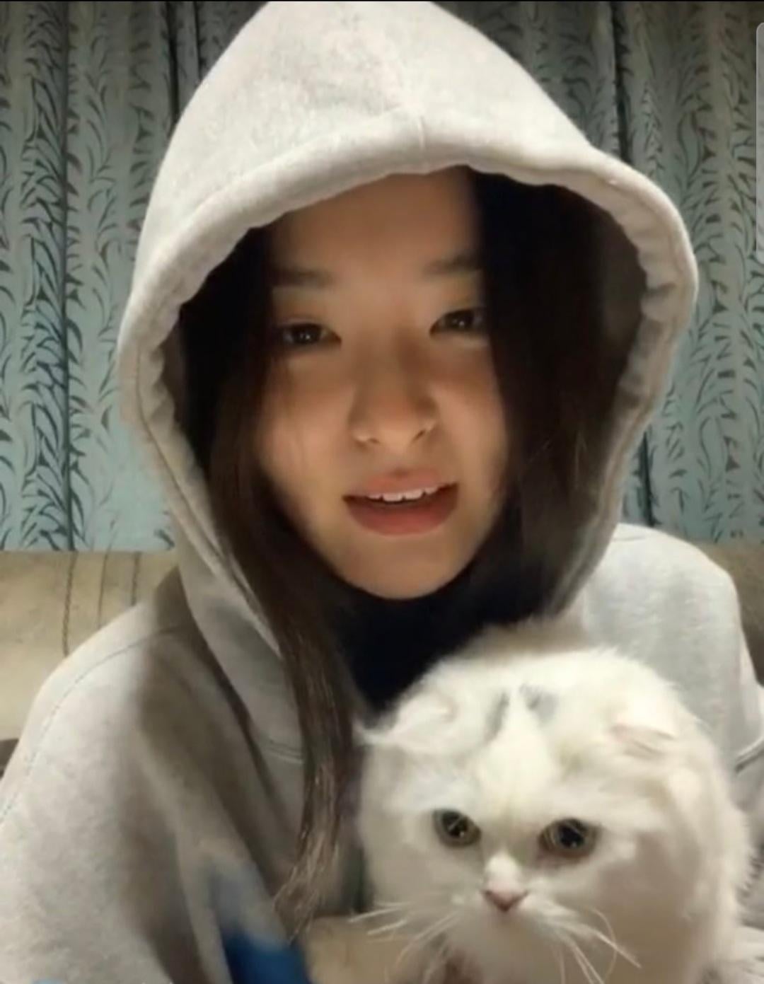 Seulgi & her cats - PTKOREA