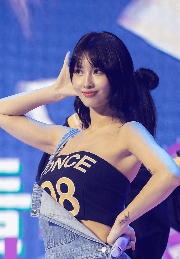 Momo - PTKOREA