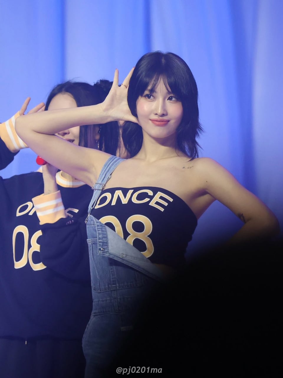 Momo - PTKOREA