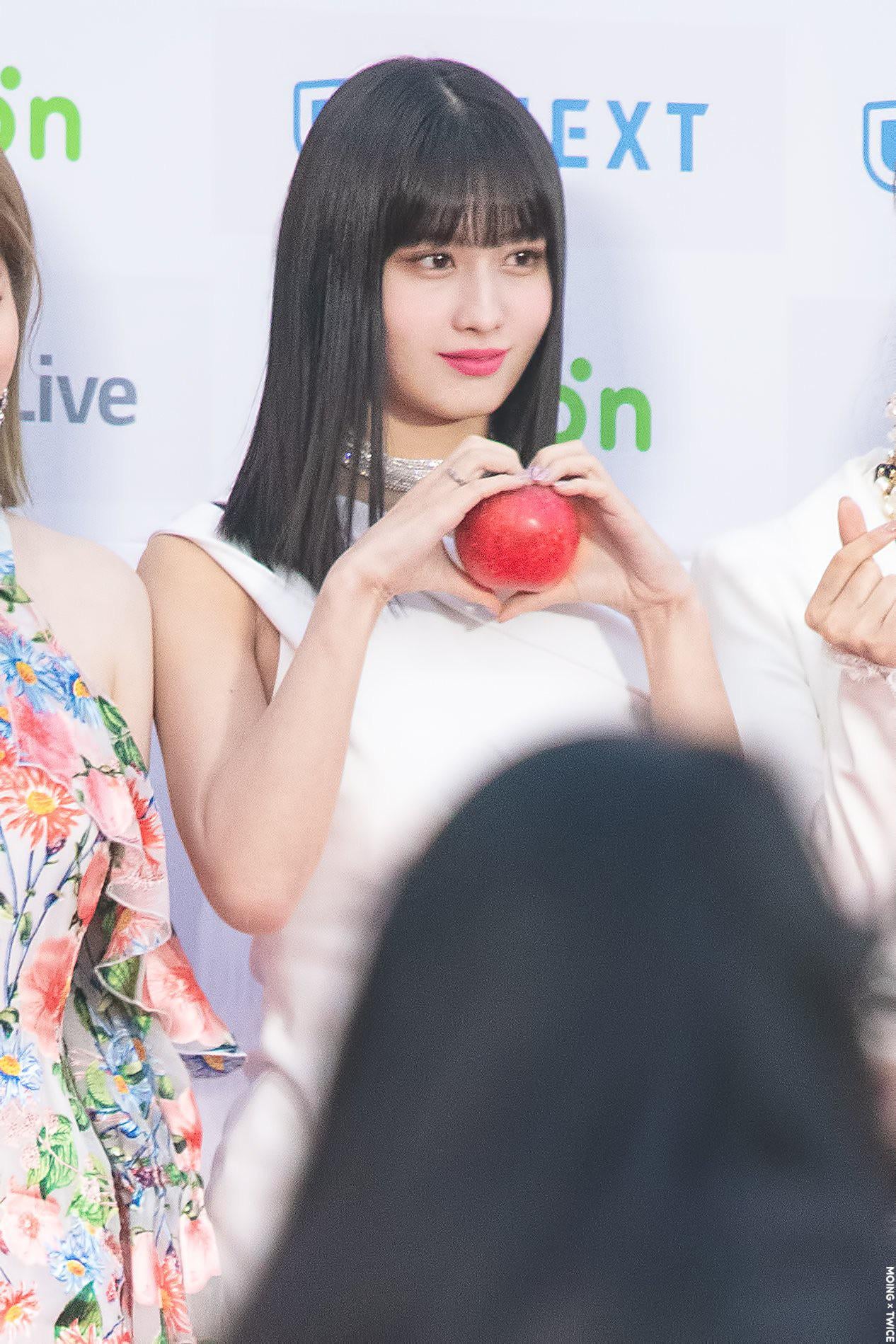 Momo - PTKOREA