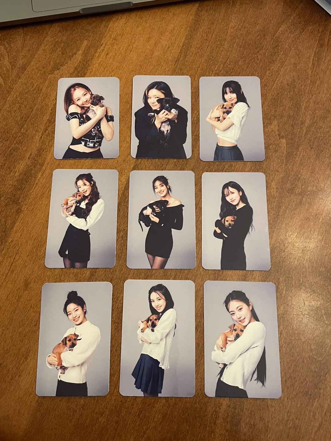 twice buzzfeed puppy photocards - PTKOREA