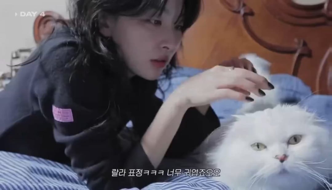 Seulgi & her cat so cute - PTKOREA