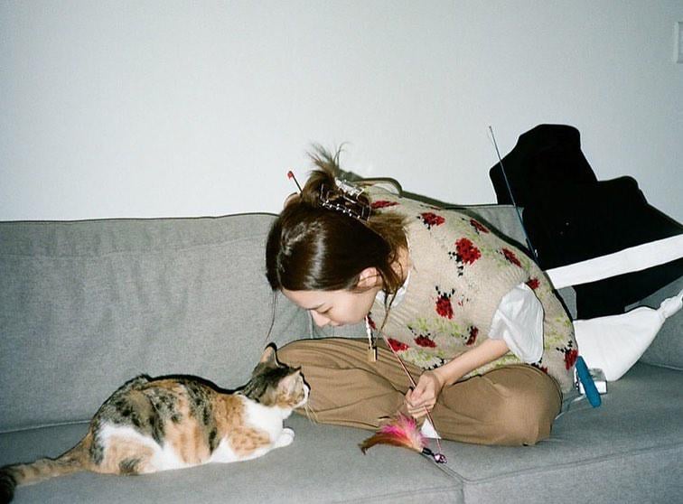 Seulgi & a calico - PTKOREA