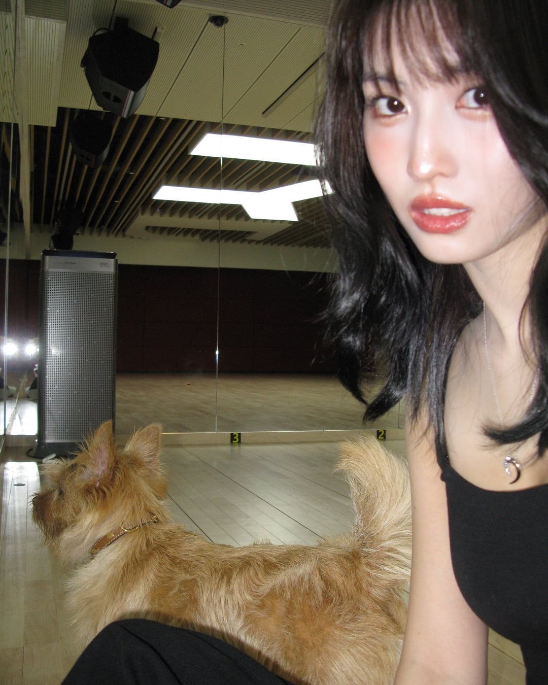 240809 Momo Instagram Update - "🐺🤍🐺" - PTKOREA