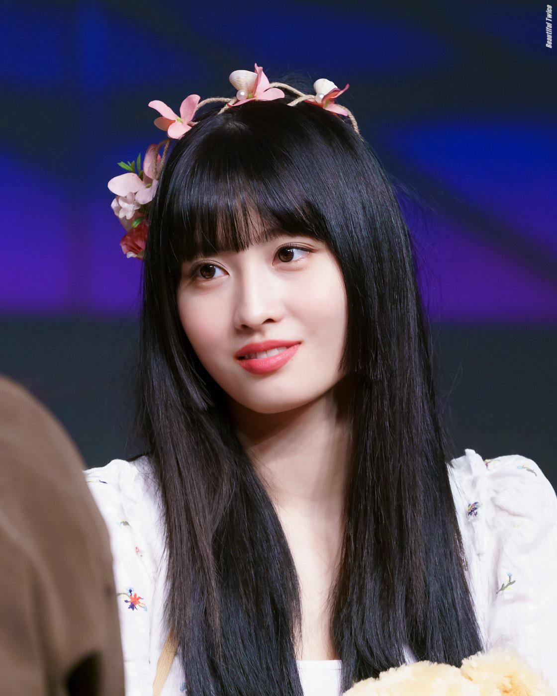 Momo - PTKOREA