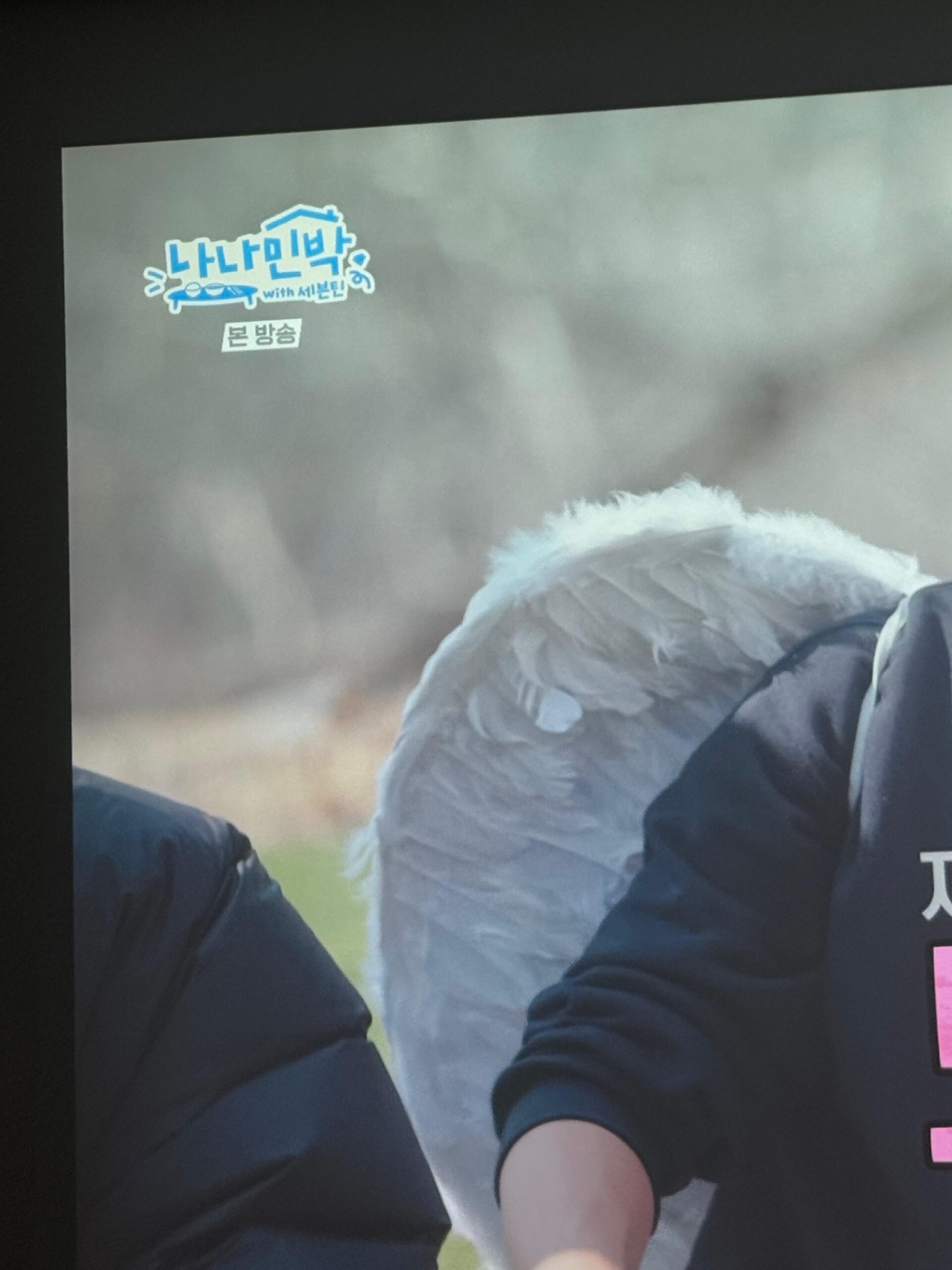 250602 Mingyu Weverse Update (2) - PTKOREA