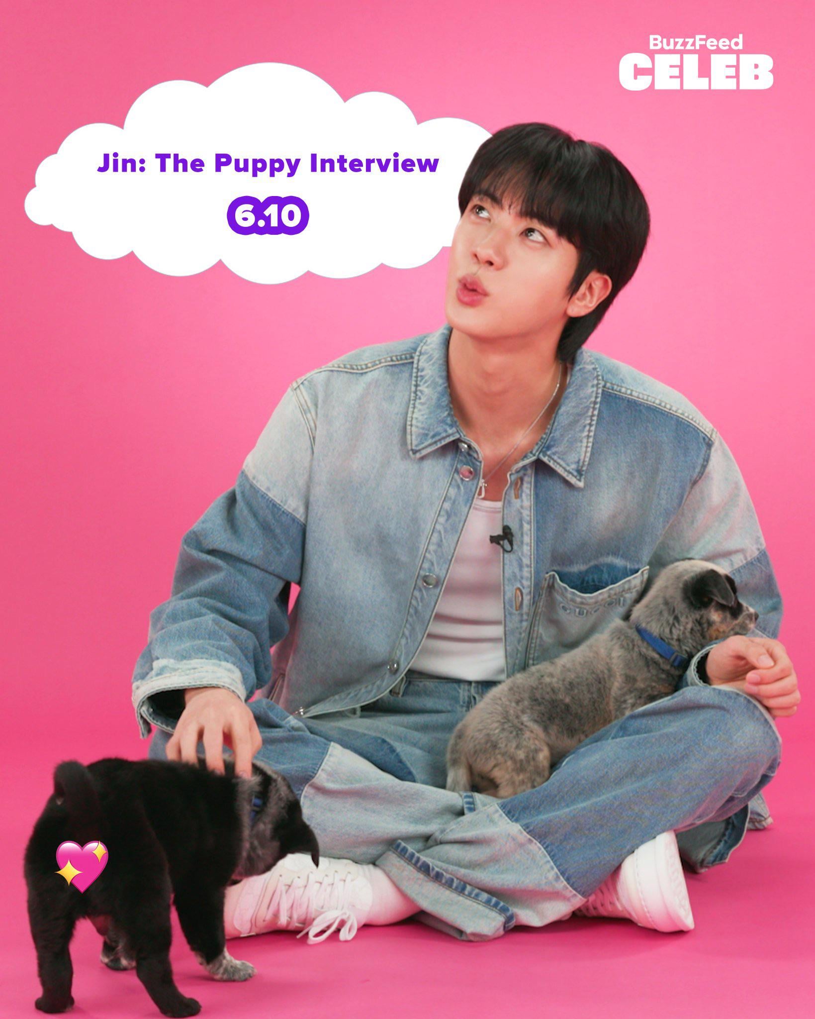 [Buzzfeed Celeb IG Post] 2. More. Days. Jin x Puppy Interview 6/10. - 090625 - PTKOREA